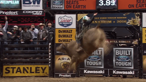 Pbr bull riding GIF - Find on GIFER