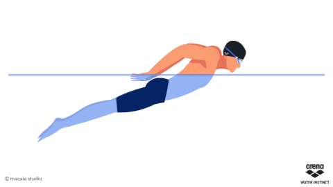 GIF arena - animated GIF on GIFER