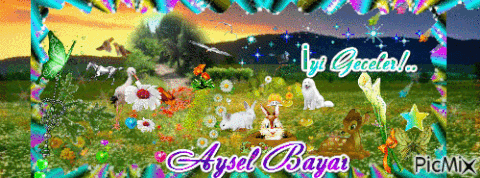 GIF tr - animated GIF on GIFER