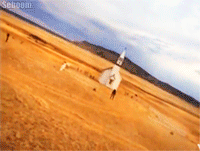 November rain epic vevo GIF - Find on GIFER