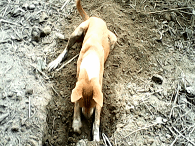 Best data GIF - Find on GIFER