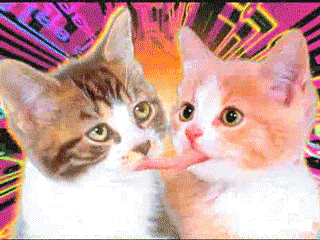 32 in 32 GIF - Find on GIFER
