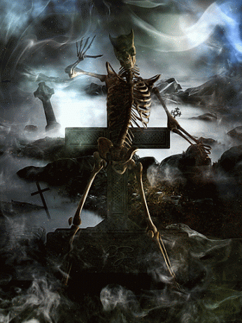 GIF 32 in 32 - animated GIF on GIFER