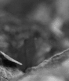 Bad parents grades GIF - Find on GIFER