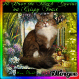 Fancy GIF - Find on GIFER
