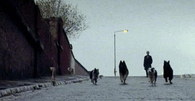 GIF 28 days later - animated GIF on GIFER