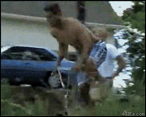 End semester GIF - Find on GIFER