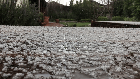 GIF loop today california - animated GIF on GIFER