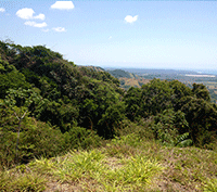 View GIF - Find on GIFER