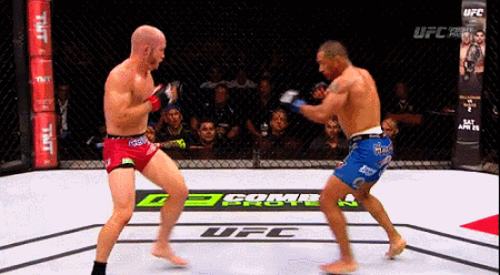 Ufc GIF - Find on GIFER