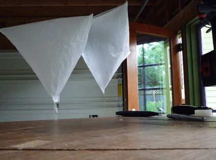 Clear GIF - Find on GIFER