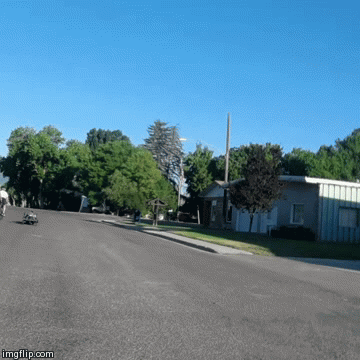 Su GIF - Find on GIFER