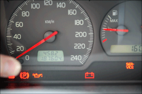 GIF service - animated GIF on GIFER