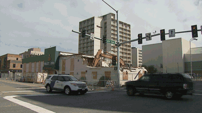 If The Animal Kingdom Had A Coli.com? (Thread Titles) | Page 3 | Sports ...