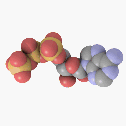 GIF atp - animated GIF on GIFER