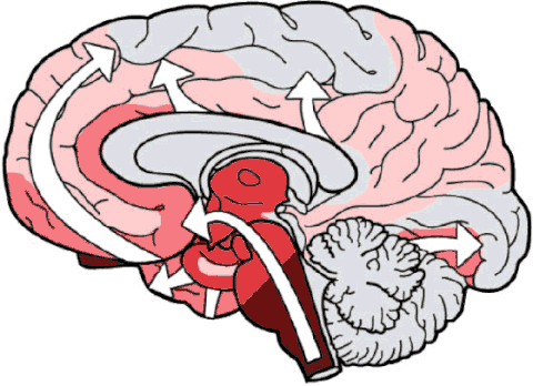 Disease GIF - Find on GIFER