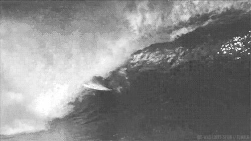 GIF australia surf hawaii - animated GIF on GIFER