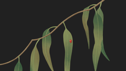 Seamless loop GIF - Find on GIFER