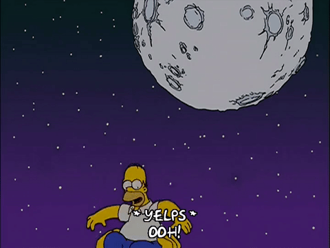 GIF homer simpson episode 5 season 14 - animated GIF on GIFER