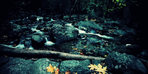 Tree peace river GIF - Find on GIFER