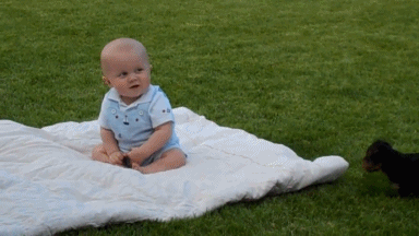 GIF baby romping happy - animated GIF on GIFER
