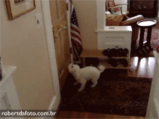 Nike nike running GIF - Pesquisar em GIFER