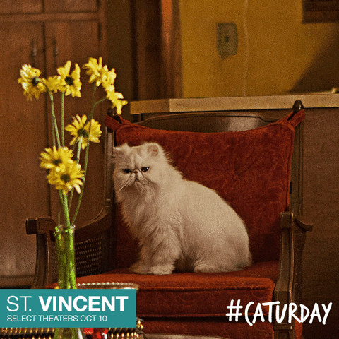 Vincent GIF - Find on GIFER
