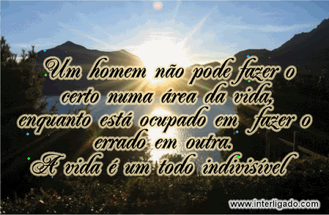 Vida GIF - Find on GIFER