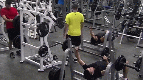 Cf GIF - Find on GIFER