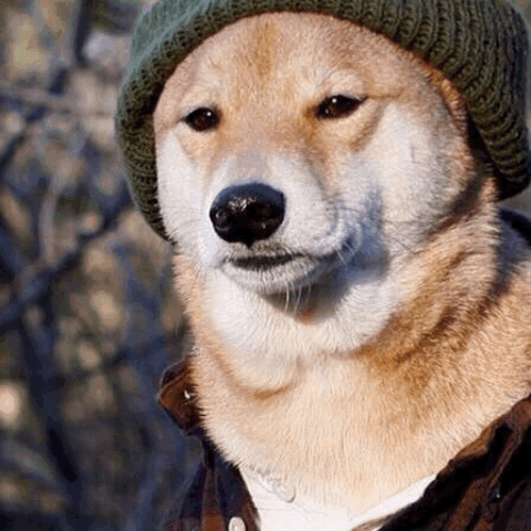 Irl GIF - Find on GIFER