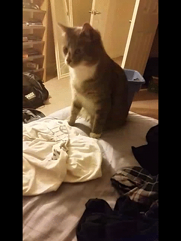 Passive Aggressive Gif