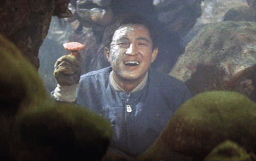 Psychedelic horror shrooms GIF - Find on GIFER