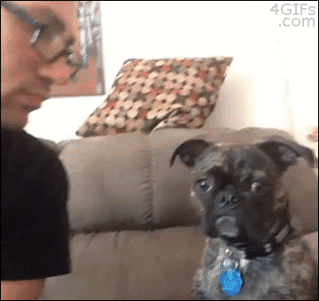 GIF face someone inches - animated GIF on GIFER