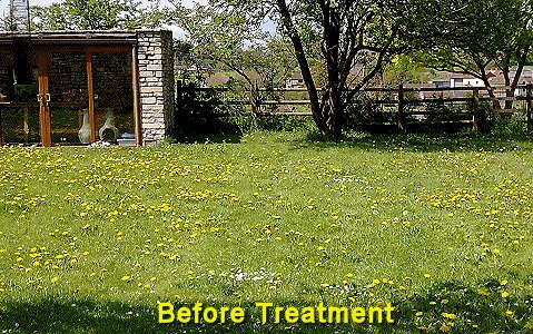 The roots GIF - Find on GIFER