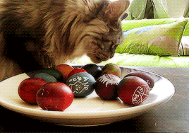 GIF big amount dance happy easter gato - animated GIF on GIFER