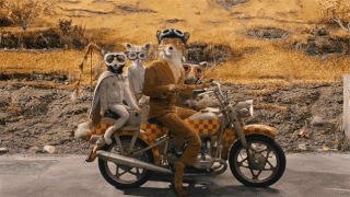 GIF film history evolution - animated GIF on GIFER