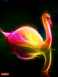 Multicolor GIF - Find on GIFER