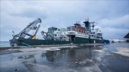 GIF adaptation - animated GIF on GIFER