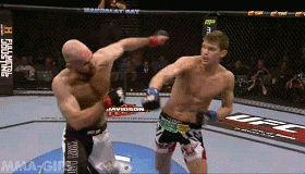 Ufc GIF - Find on GIFER