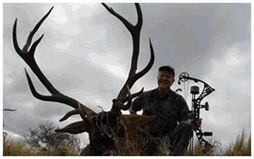 GIF hunting - animated GIF on GIFER