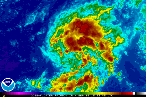 Tropical GIF - Find on GIFER