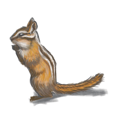 Illustration GIF - Find on GIFER