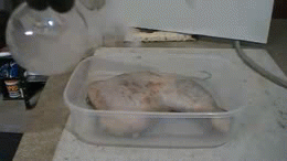 Chicken chemical reaction sulfur GIF - Find on GIFER