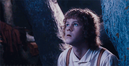Pippin GIF - Find on GIFER