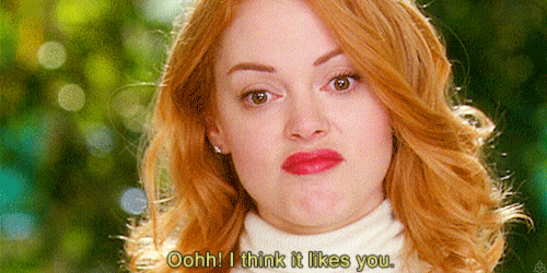 Rose please rose mcgowan GIF - Find on GIFER