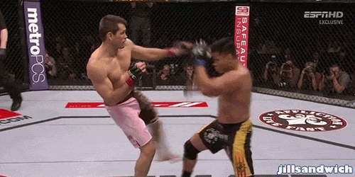 Ufc mma amusement ride GIF - Find on GIFER