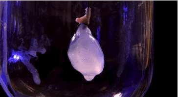 Heart team cells GIF - Find on GIFER