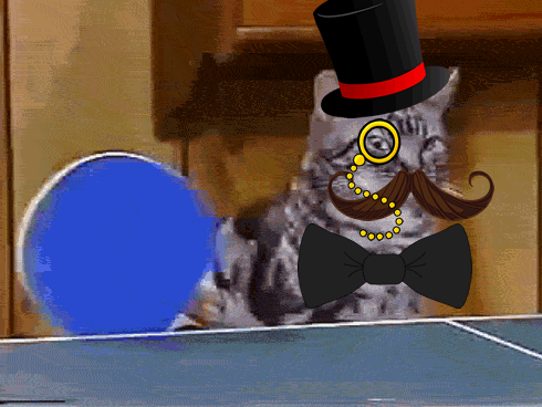 Monocle Cat Gif