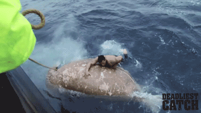 GIF television crazy jump - animated GIF on GIFER