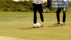 100 manchester united GIF - Find on GIFER